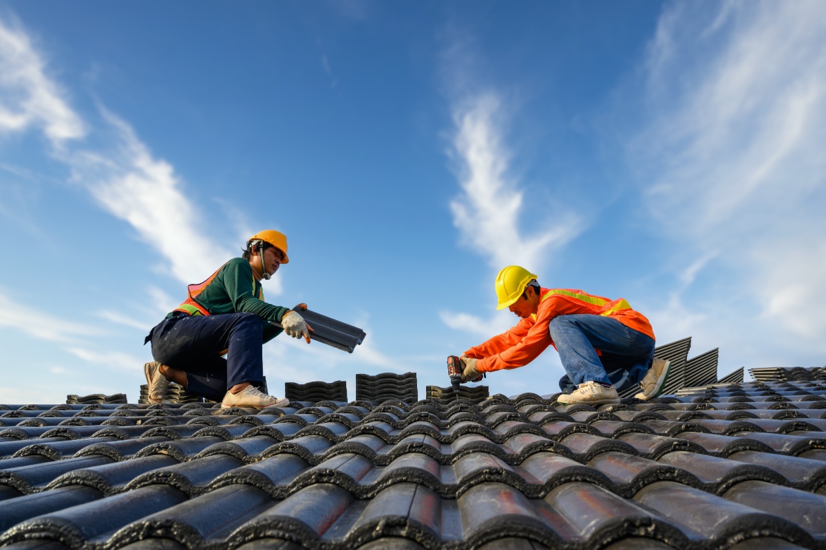 Essential Maintenance Tips for Your Solstice Shingle Roof